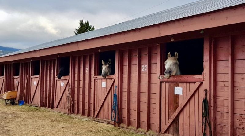 Stall Rentals – Northern Saddle Club